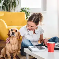 Garde animaux Bastia 20600 Pet Sitting autour de vous