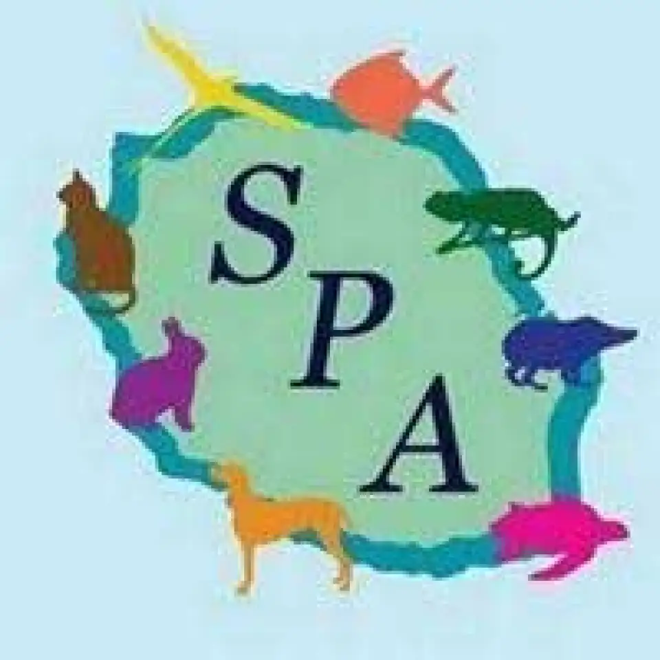 Spa Le Tampon (adresse, avis, coordonnées) Refuge animaux 97430