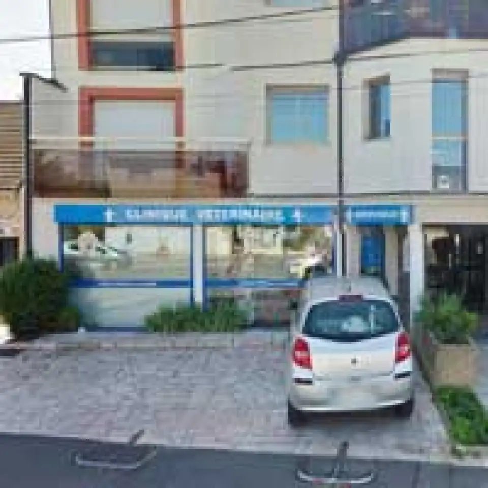 Clinique Vétérinaire Des Docteurs Christiane Foumenteze Et Isabelle ...