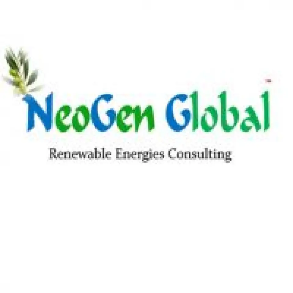 NeoGen Global For New Energies Sustainability Advisory ...